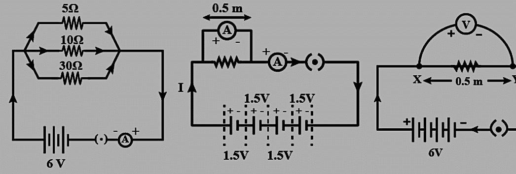 Closing the Human Reward Circuit | Dan Faggella
